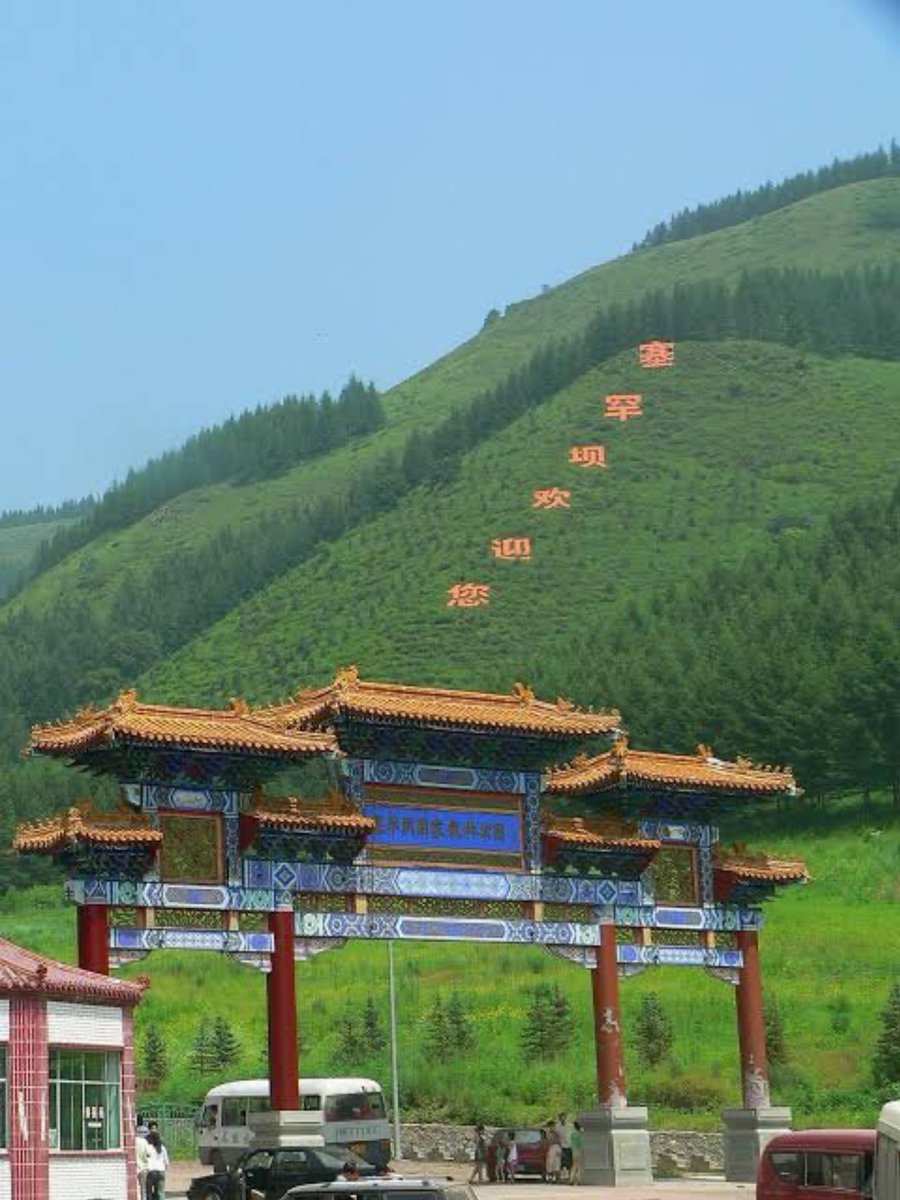 🇨🇳| In China, reforestation is carried out on a giant, massive and ...