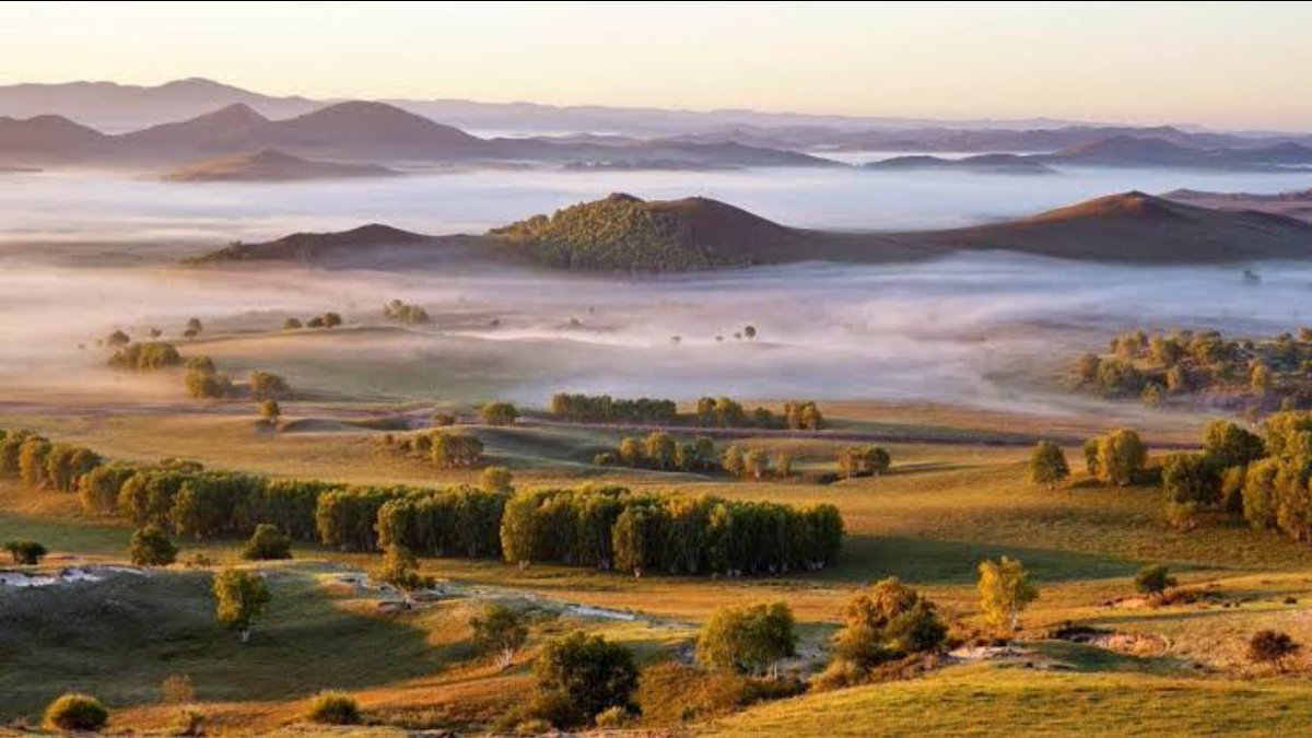🇨🇳| In China, reforestation is carried out on a giant, massive and ...
