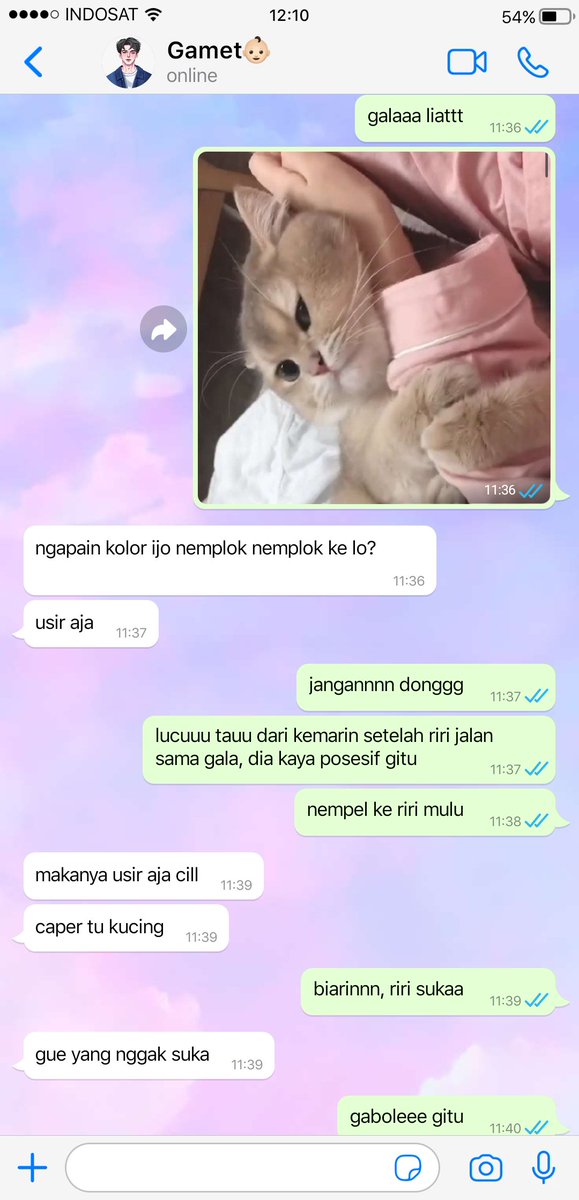 Tamara on Twitter: "172"