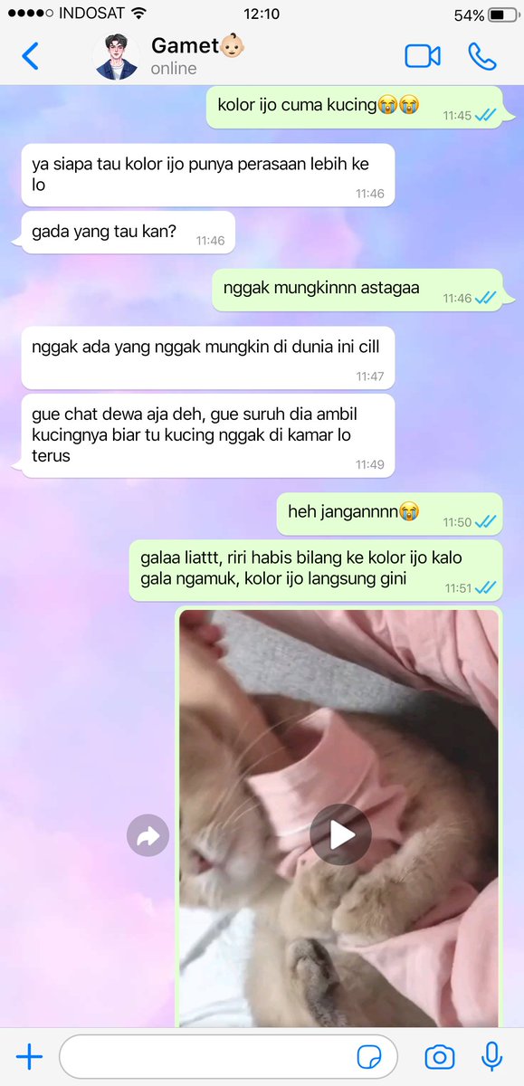 Tamara on Twitter: "172"