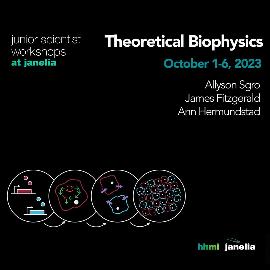 HHMI | Janelia on Twitter: "📢 Applications are now open for our Junior Scientist Workshop on ...