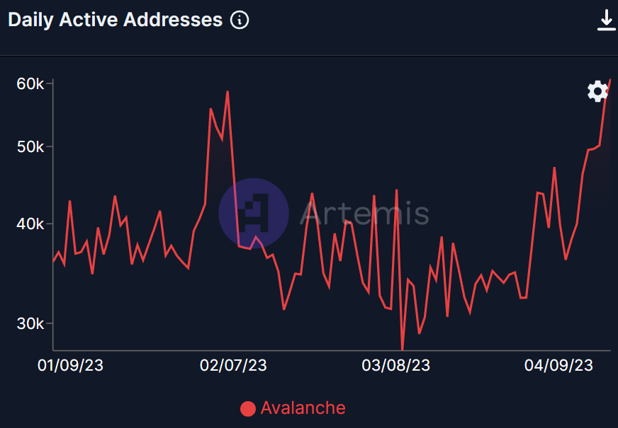 Patrick | Dynamo DeFi on Twitter: "Daily active addresses on Avalanche ...