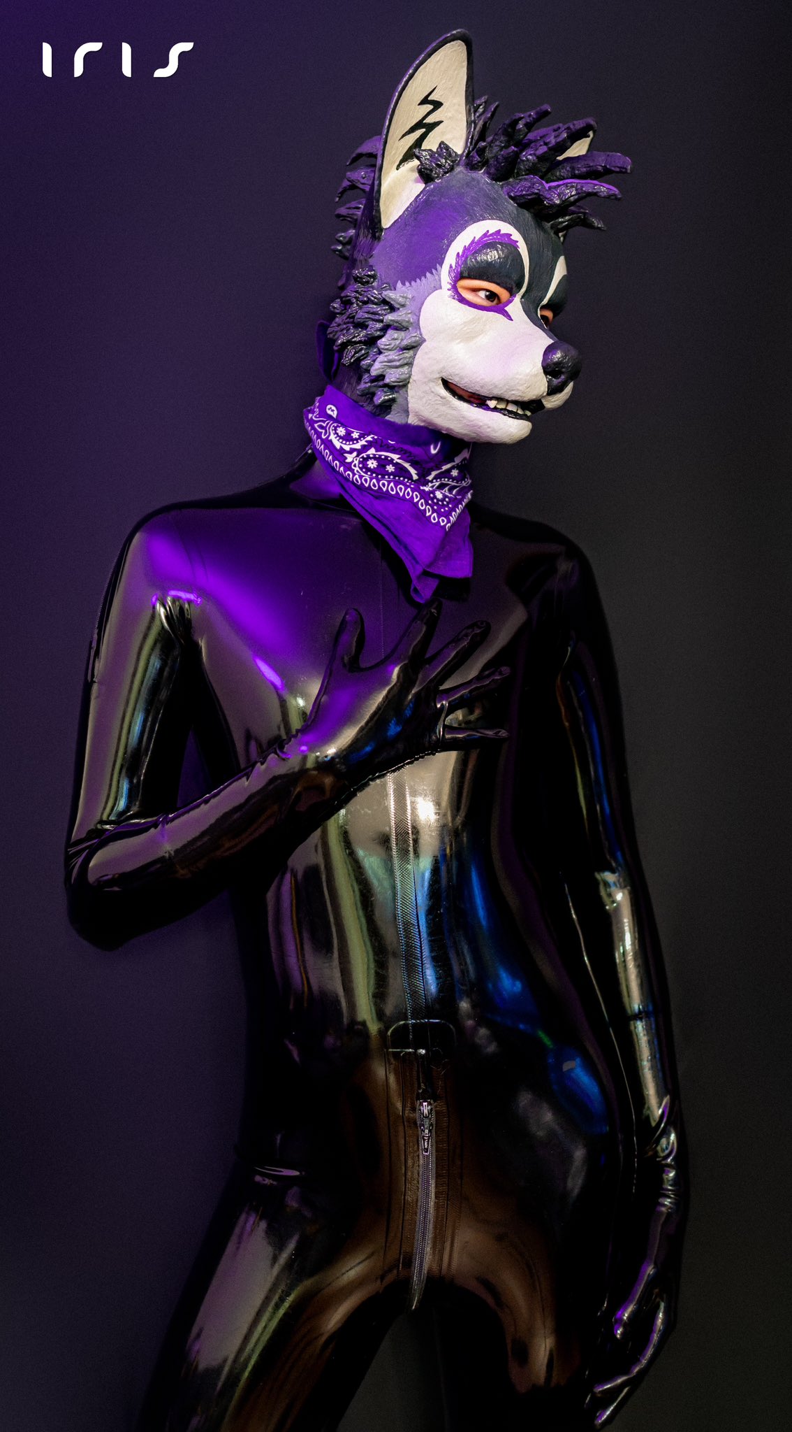 🦊 SHINY IRIS 🦊 🔜 AC on Twitter: "Shiny dog 👀 https://t.co/x340Hik3k4" / Twitter