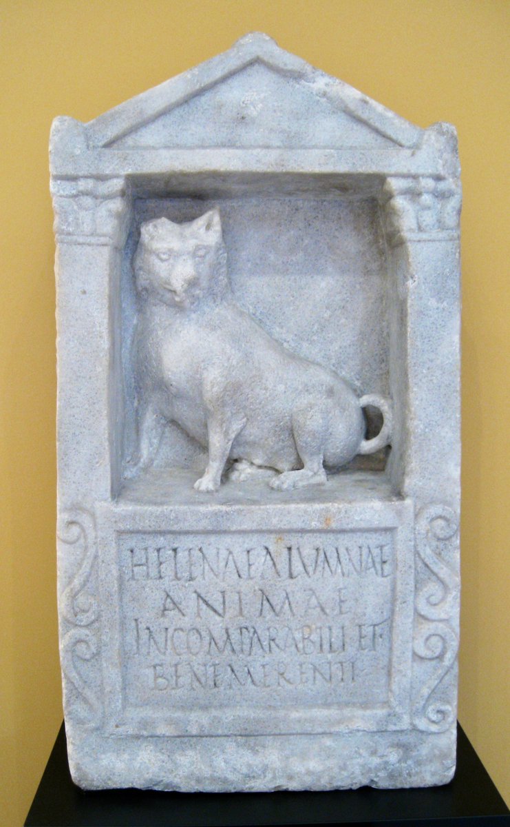 Kurt Rex Cooper 💚 on Twitter: "RT @chapps: I'm similarly obsessed with the memorials for ancient ...