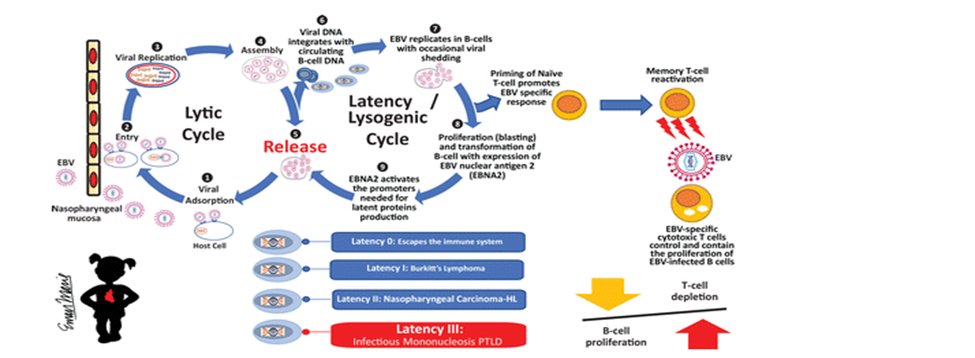 1/ Hi #MedTwitter Let's discuss about Post Transplant ...