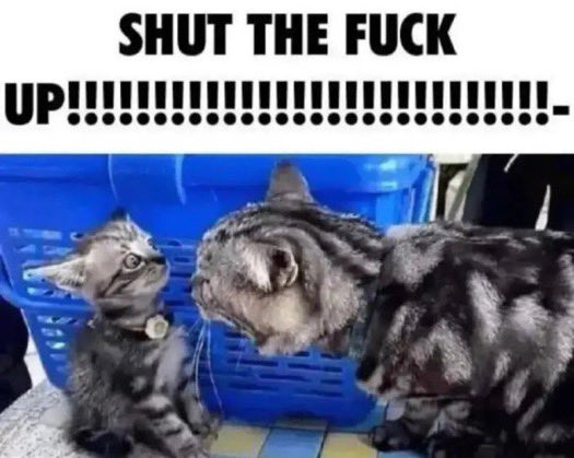Shut Up Cat Meme