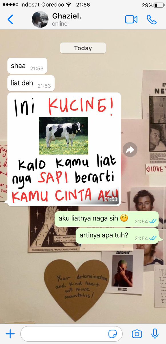 ocha on Twitter: "06."