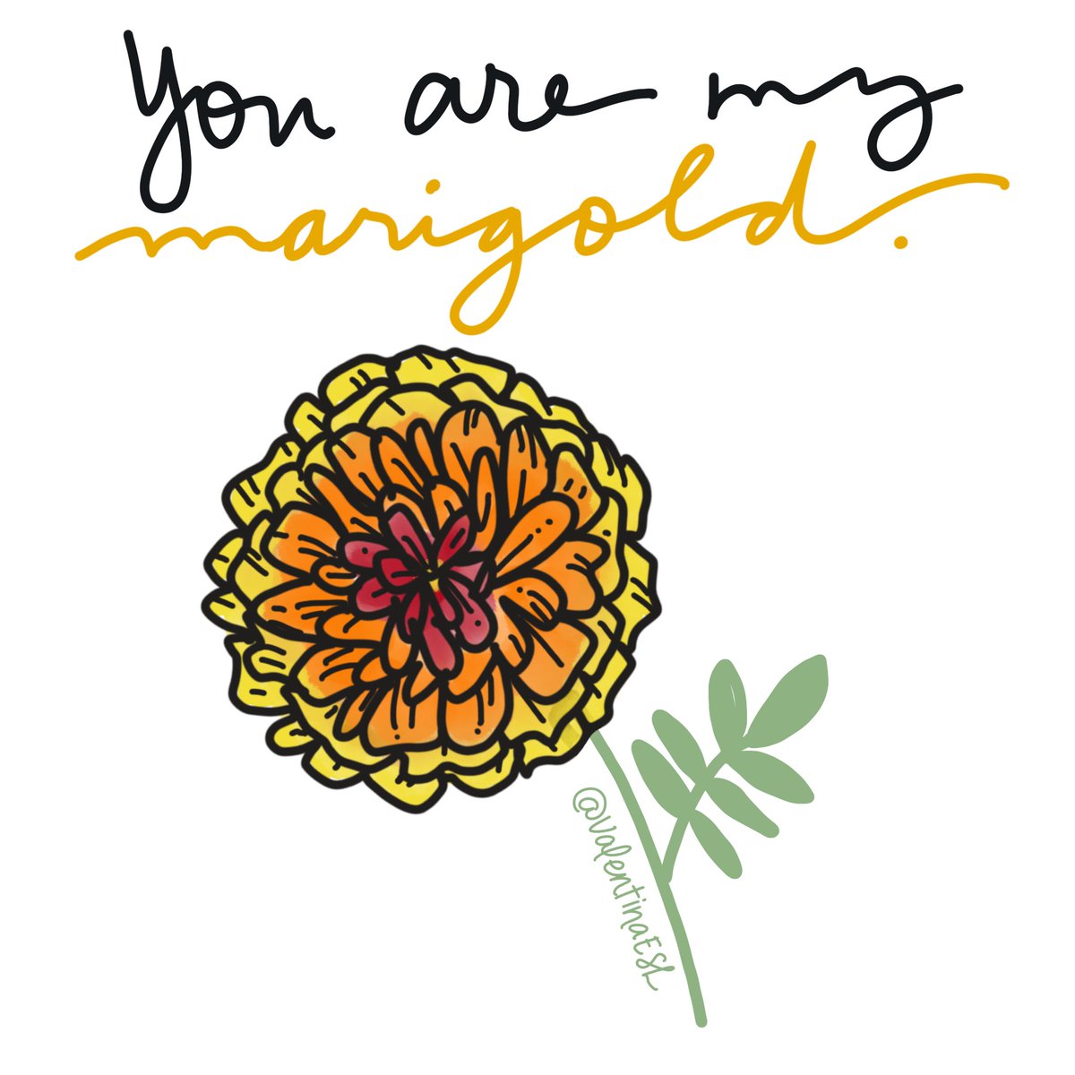 🌍 ναℓєηтιηα gσηzαℓєz on Twitter: "Did you know that marigolds are known as companion plants ...