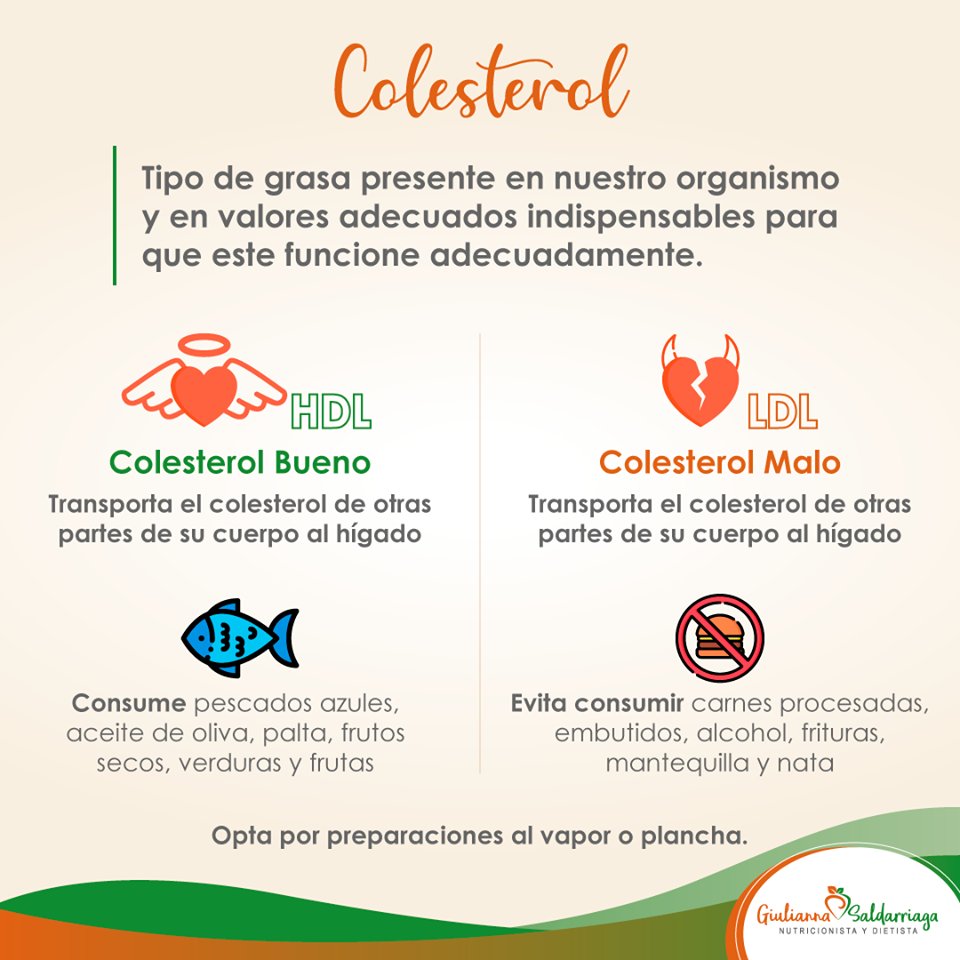 Salud en Casa on Twitter: "El colesterol Colesterol bueno vs Colesterol Malo Fuente: Giulianna ...