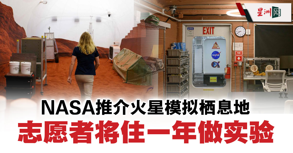Sin Chew Daily 星洲日報 On Twitter 记得种potato哦~ 星洲日报 Sinchew