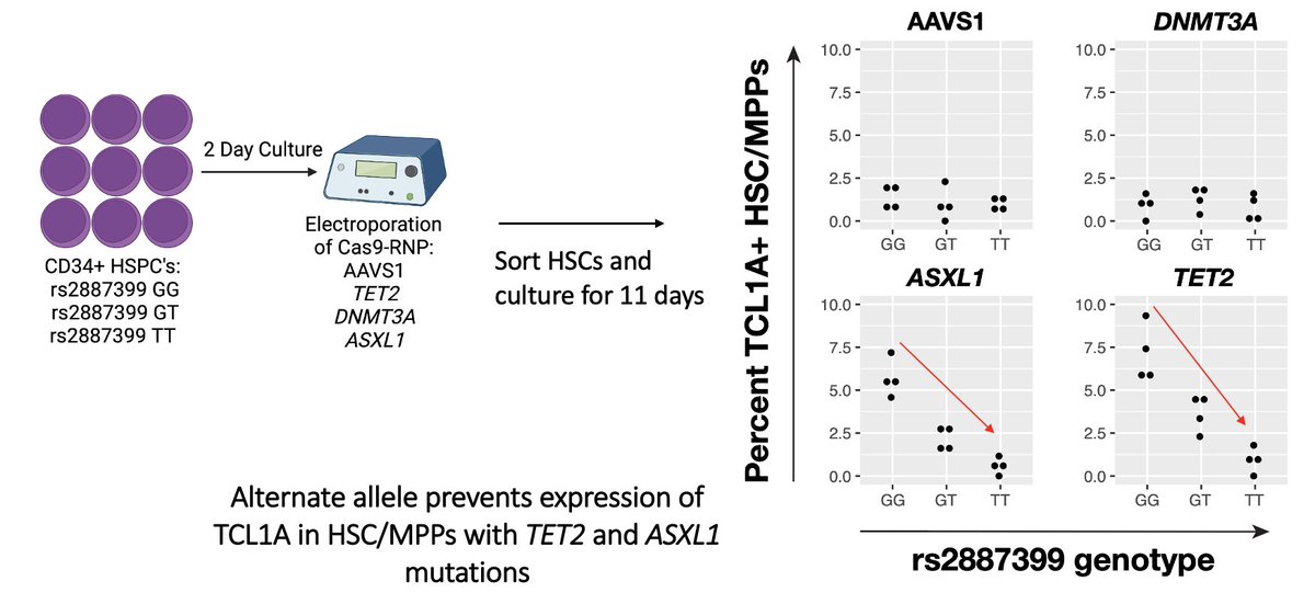 Clonal hematopoiesis is an expansion of blood stem cell clones caused ...
