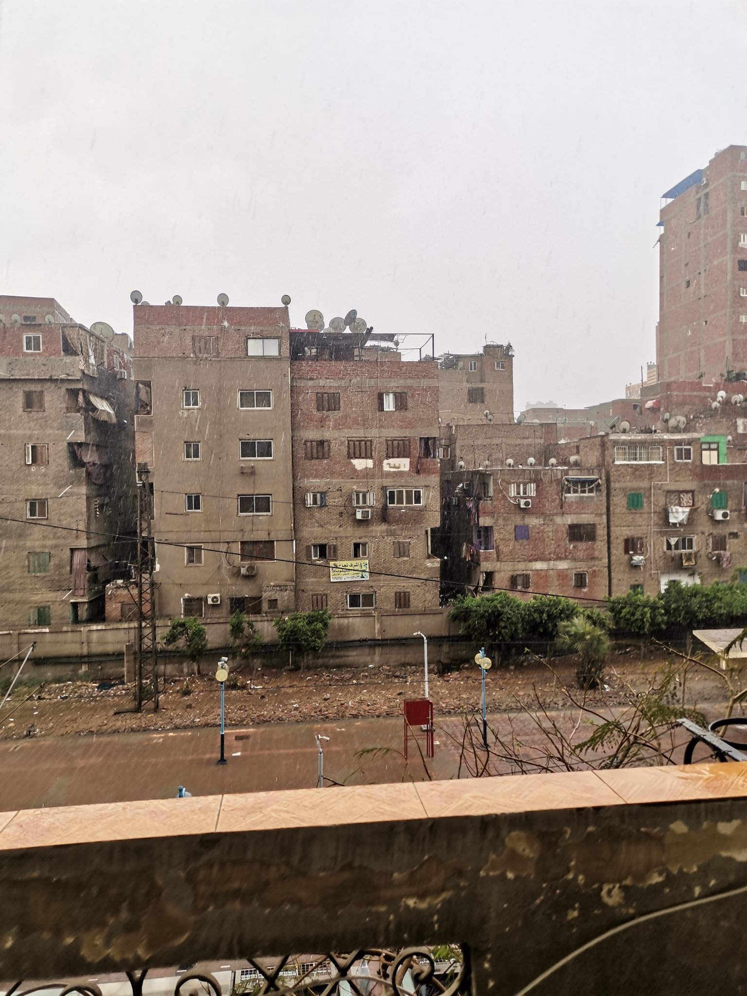 Shahd (@shahd3yad) / Twitter