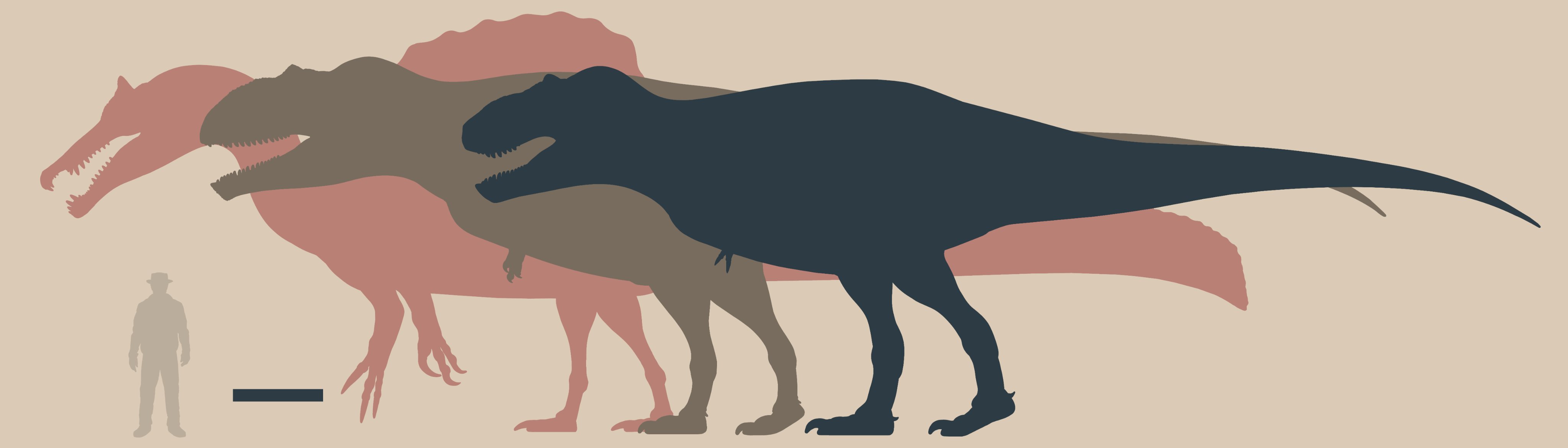 Giganotosaurus Vs Carcharodontosaurus Size
