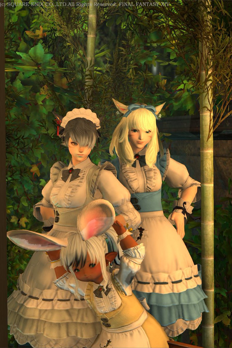 studio_noir | StudioXIV