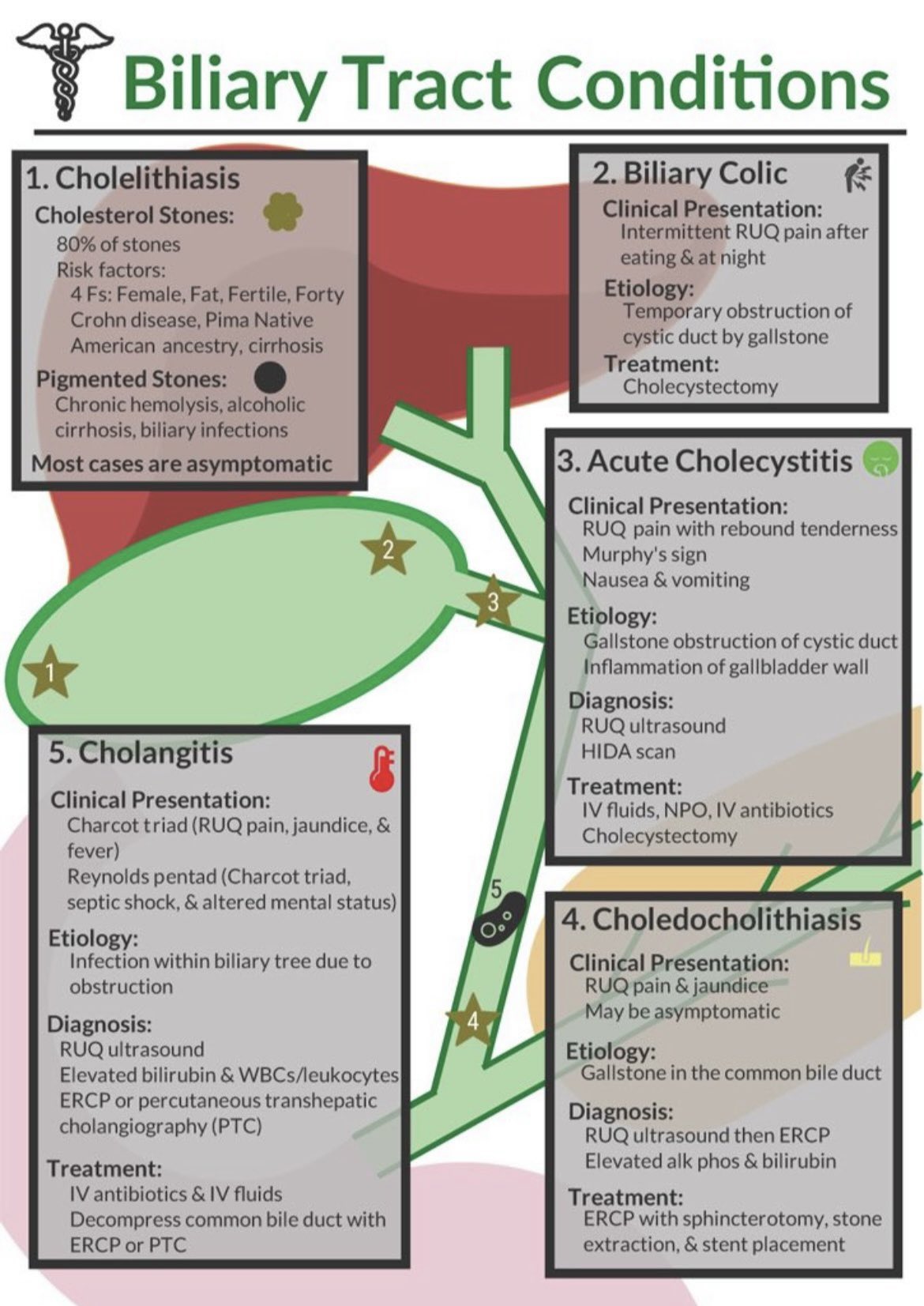 Biliary Tract Disorders