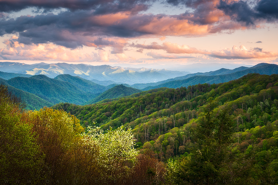 North Carolina Landscape Photography