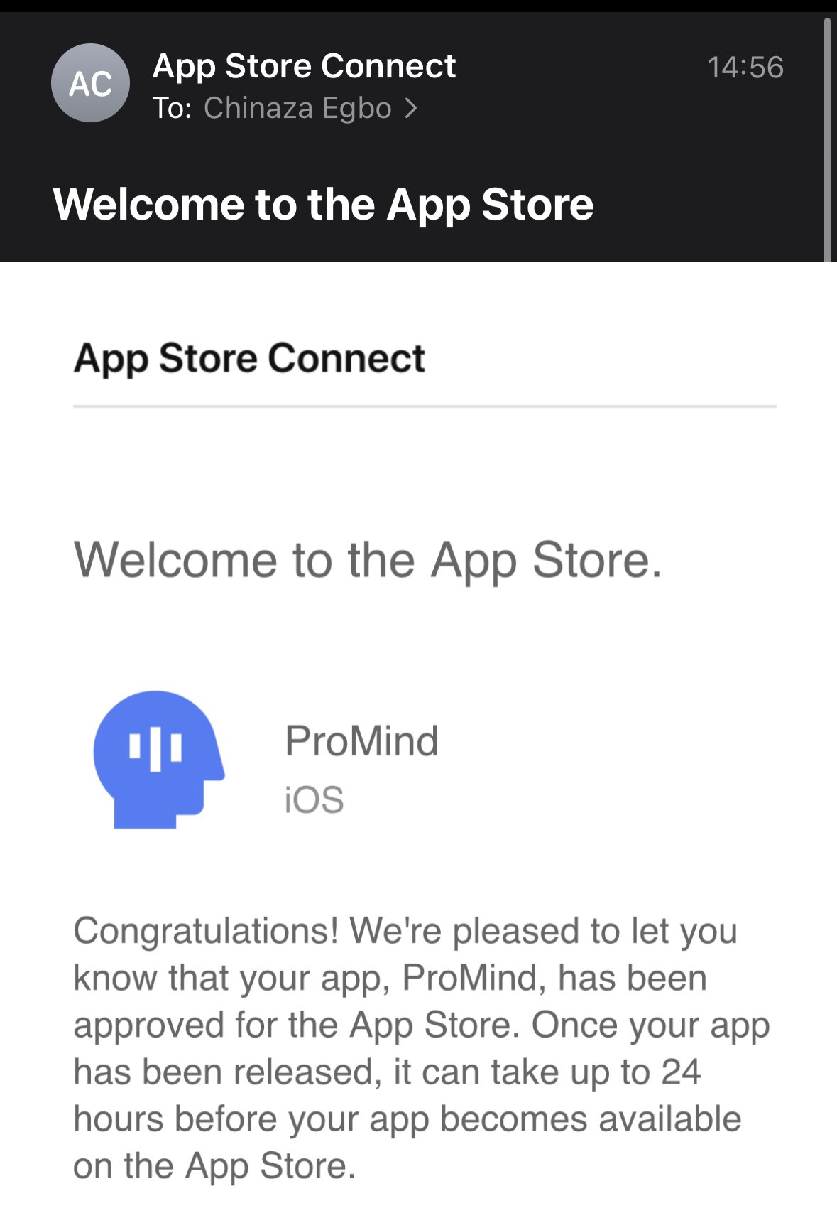 Chinaza Egbo on Twitter: "Amazing news!🎉 The App Store has approved ProMind!🚀 If you're already ...
