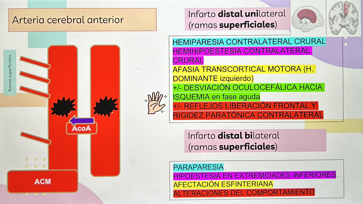 Aprovechamos para repasar en esta ocasión un tema de 𝘪𝘮𝘱𝘰𝘳𝘵𝘢𝘯𝘤𝘪𝘢 como ...