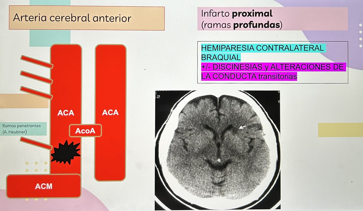 Aprovechamos para repasar en esta ocasión un tema de 𝘪𝘮𝘱𝘰𝘳𝘵𝘢𝘯𝘤𝘪𝘢 como ...