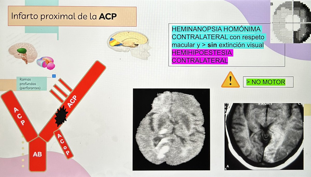 Aprovechamos para repasar en esta ocasión un tema de 𝘪𝘮𝘱𝘰𝘳𝘵𝘢𝘯𝘤𝘪𝘢 como ...