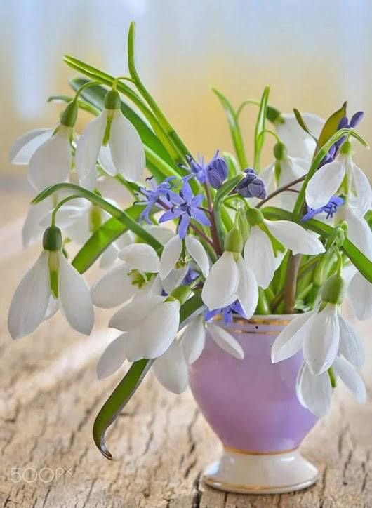 Tsengel On Twitter Гэгээн сайхан өглөөний мэнд☀️⭐️