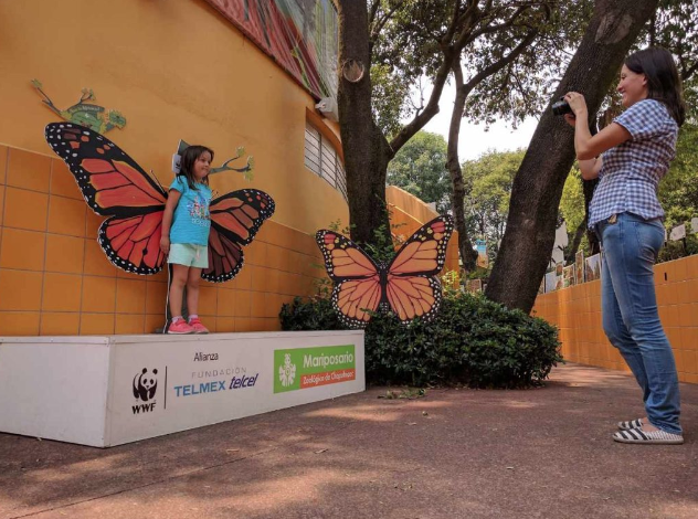 DÓNDE IR on Twitter: "¿Te gustan las mariposas? 🦋 Te armamos un listado ...