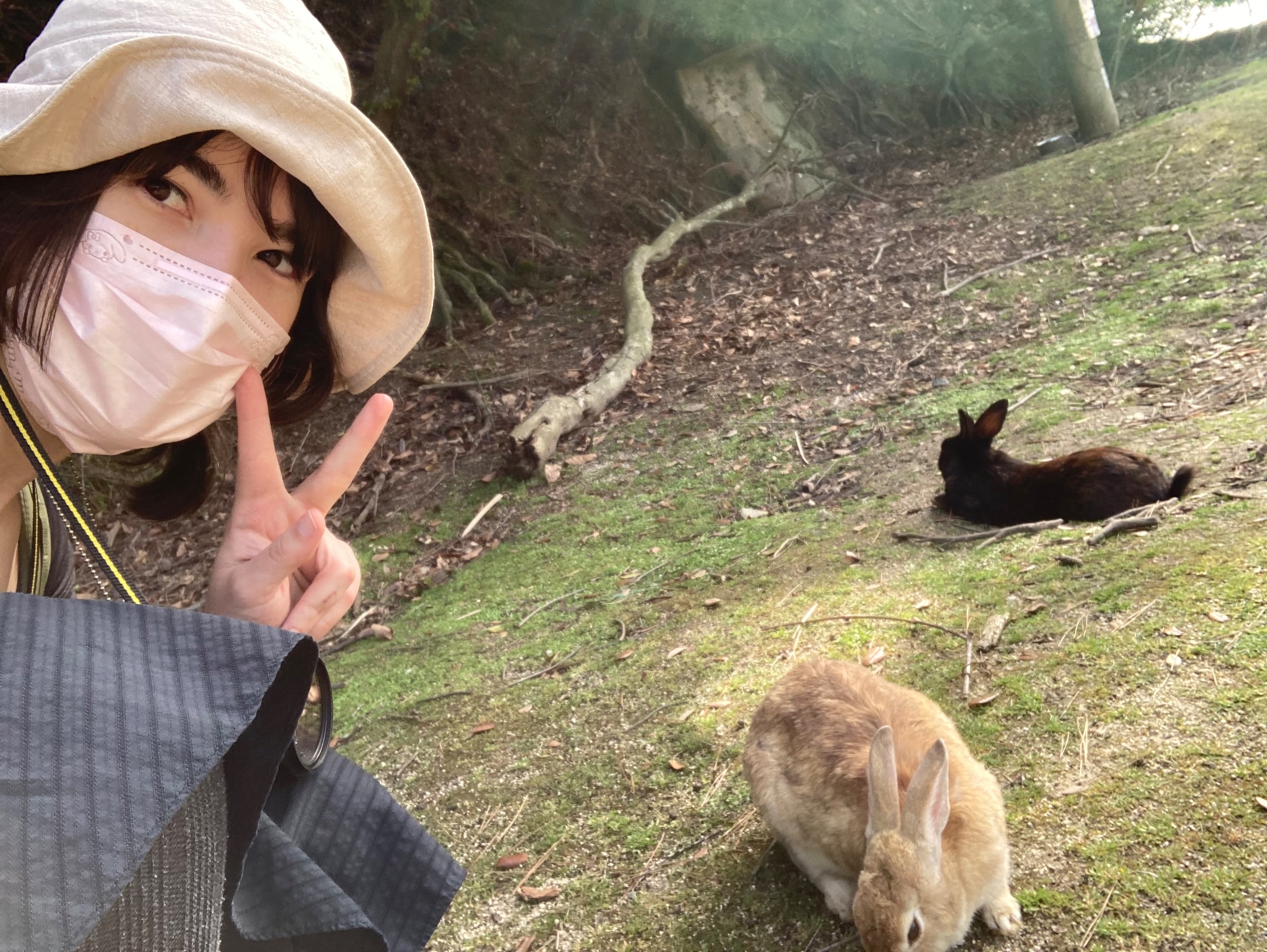 Hitsuji 🐑 on Twitter: "im on an island full of bunnies https://t.co/rjhx4SSLGC" / Twitter