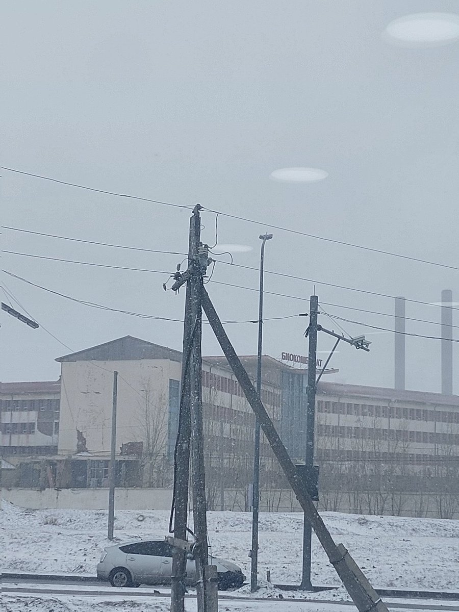Amazing папААВ On Twitter Дөнгөж сая био шувуун фабрик орчмоор гурван