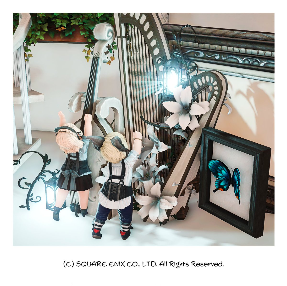 studio_noir | StudioXIV