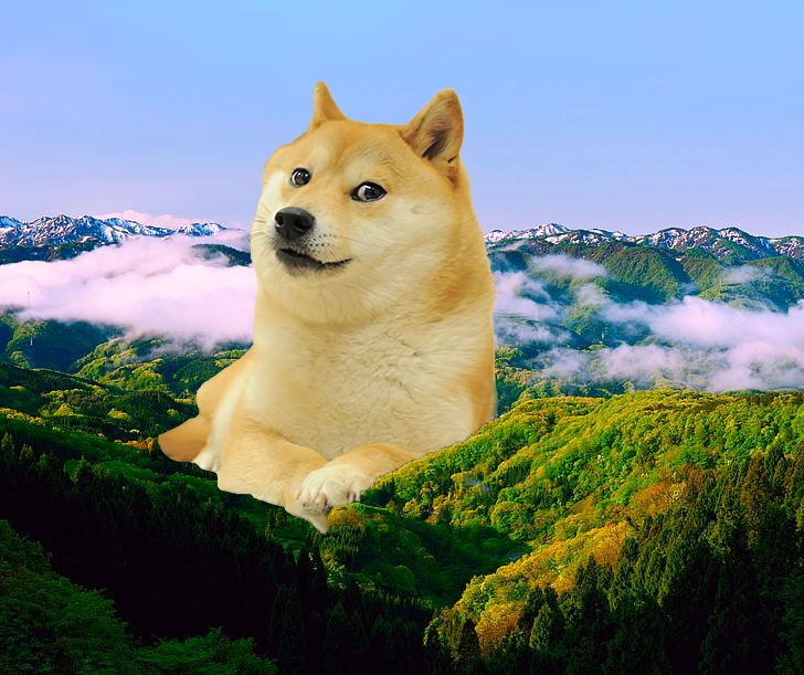 Doge Background 1920x1080