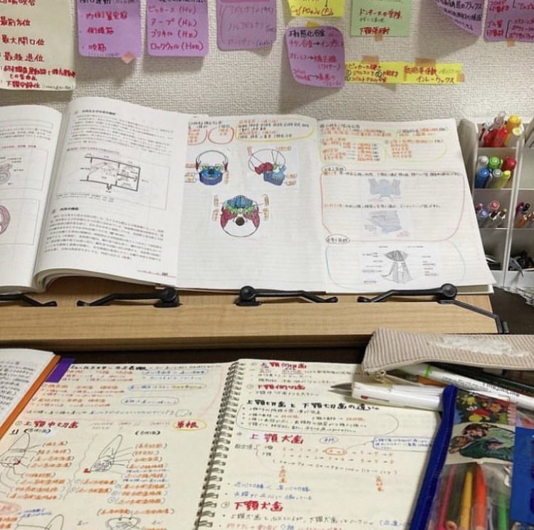 Nanashi On Twitter またひとつ賢くなったねって言い聞かせるの