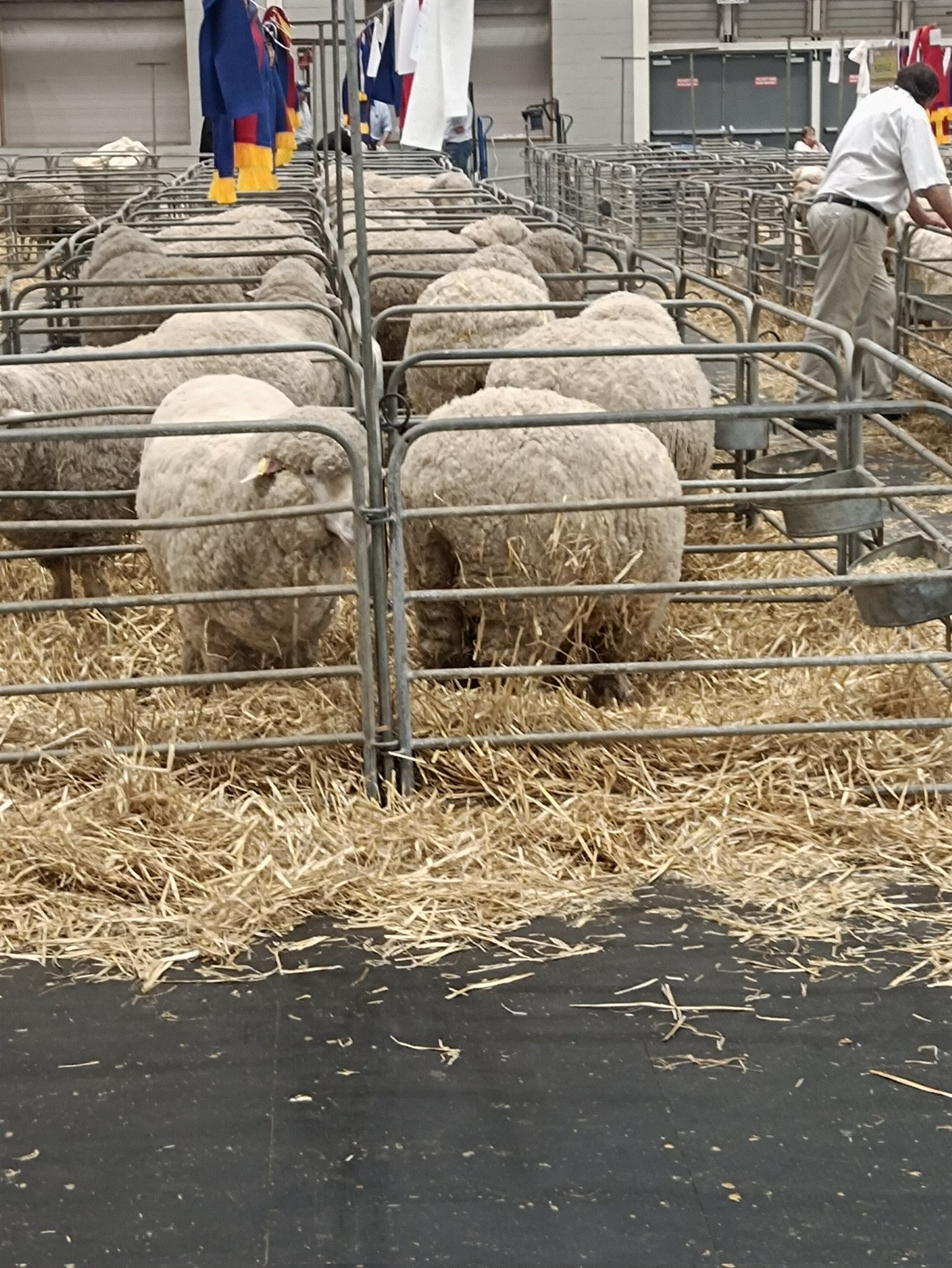 WIN (@winson_ZH) / Twitter