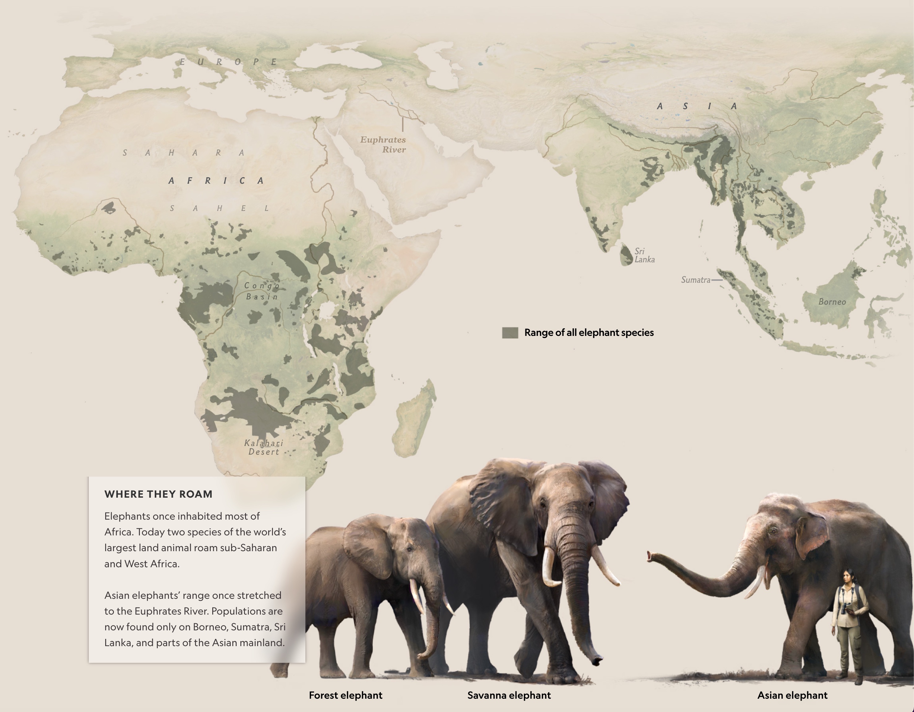 NatGeoMaps (@NatGeoMaps) / Twitter