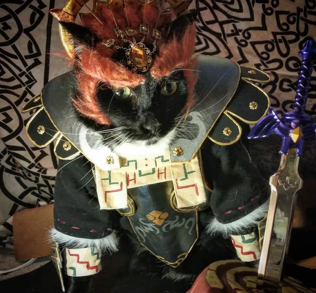 How To Make Ganondorf Costume