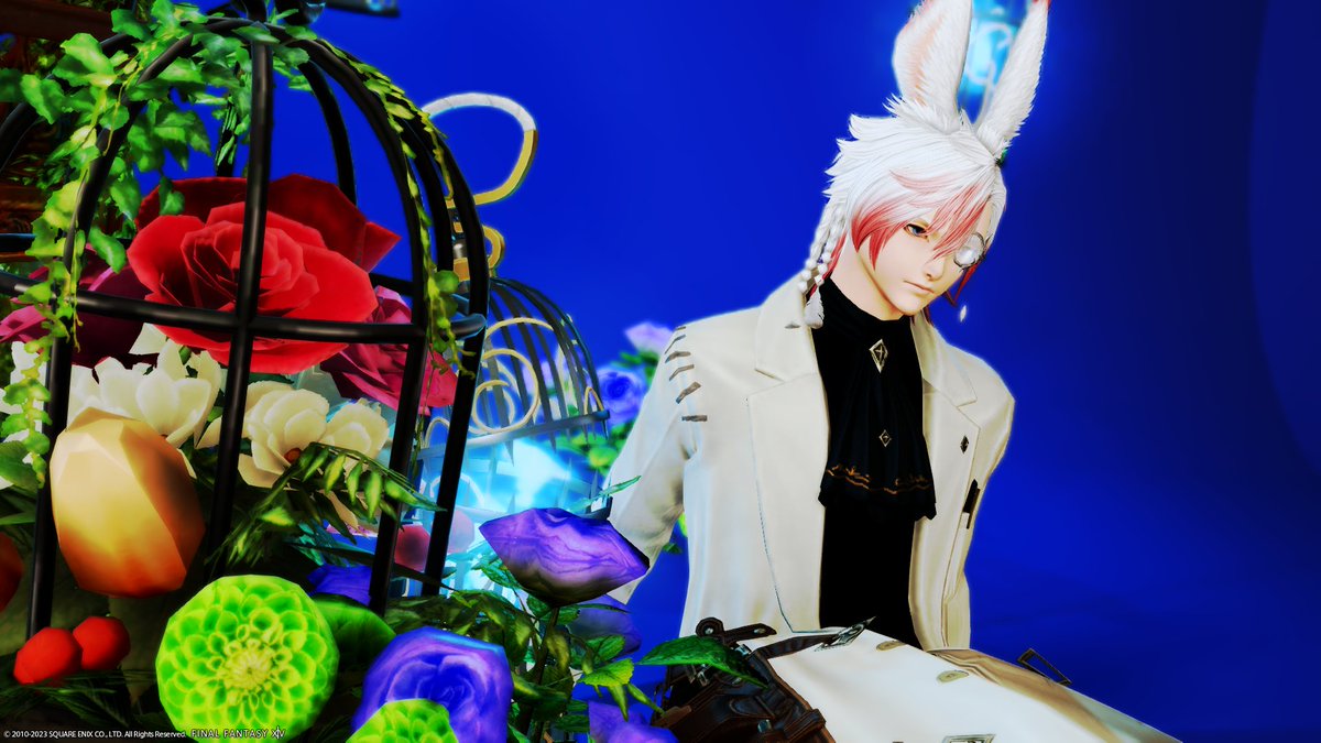 LeNimo Sea | StudioXIV