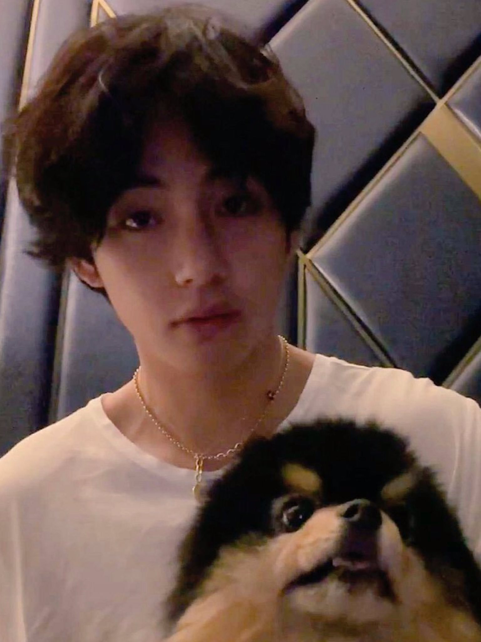 What Is Taehyungs Dogs Name