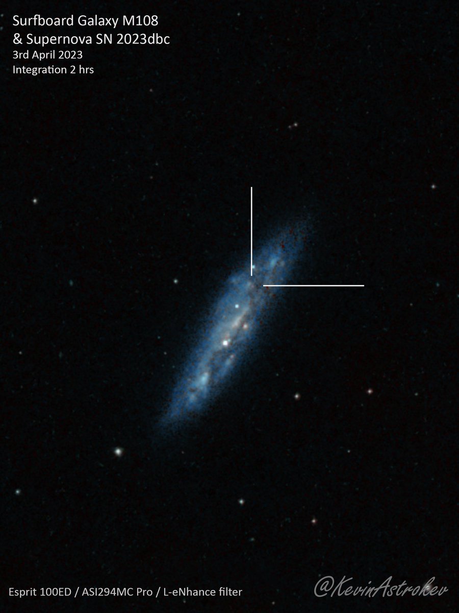 Rafael Sanabria on Twitter: "RT @KevinAstrokev: A closer crop of #M108. Supernova SN 2023dbc is ...