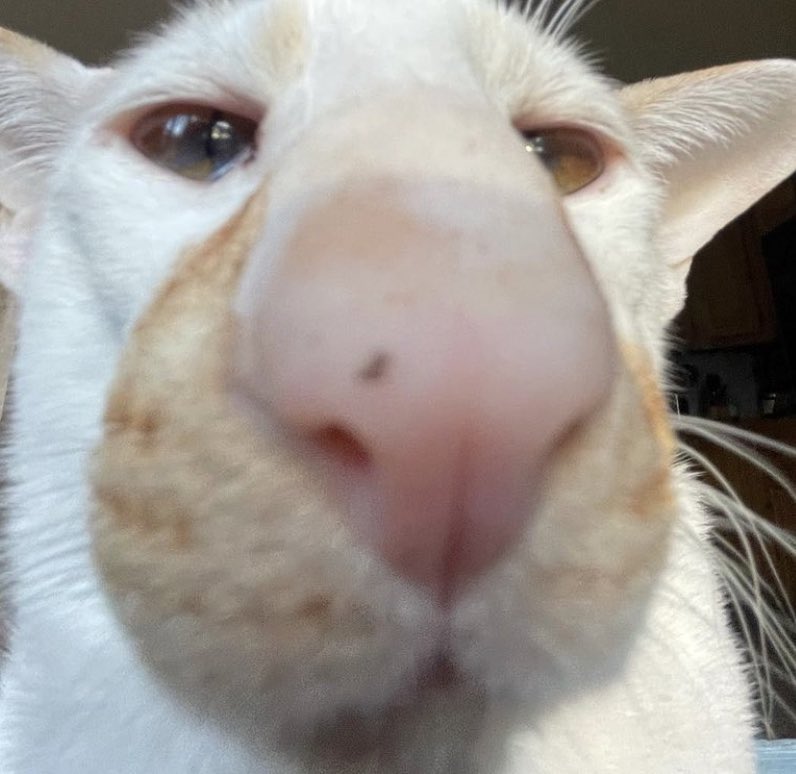 MASTER-CLASS ON NET LONG, NET SHORT AND OPEN INTEREST 🚀 A THREAD ...