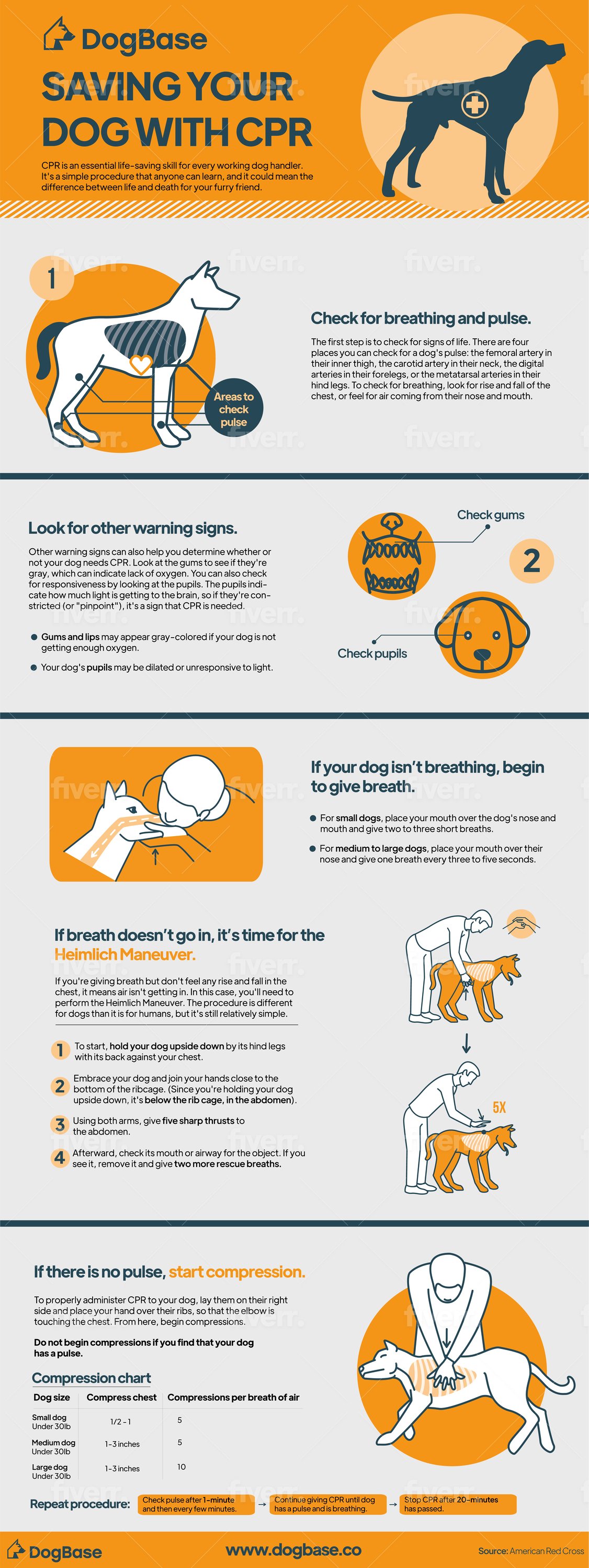 DogBase (@MyDogBase) / Twitter