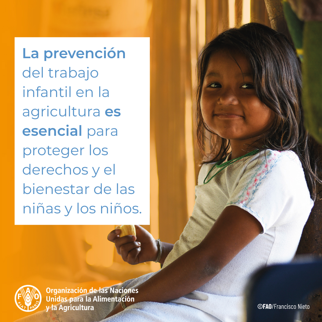 FAO Mesoamérica on Twitter: FAO Mesoamérica on Twitter: