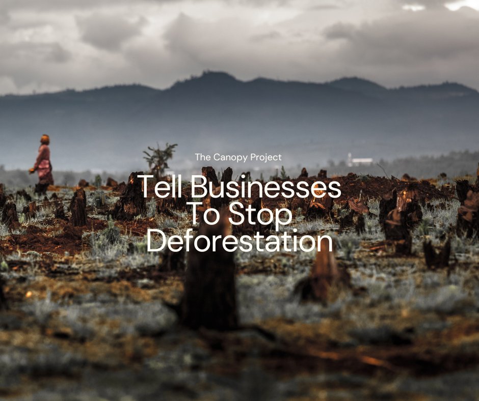 Stop Deforestation Quotes