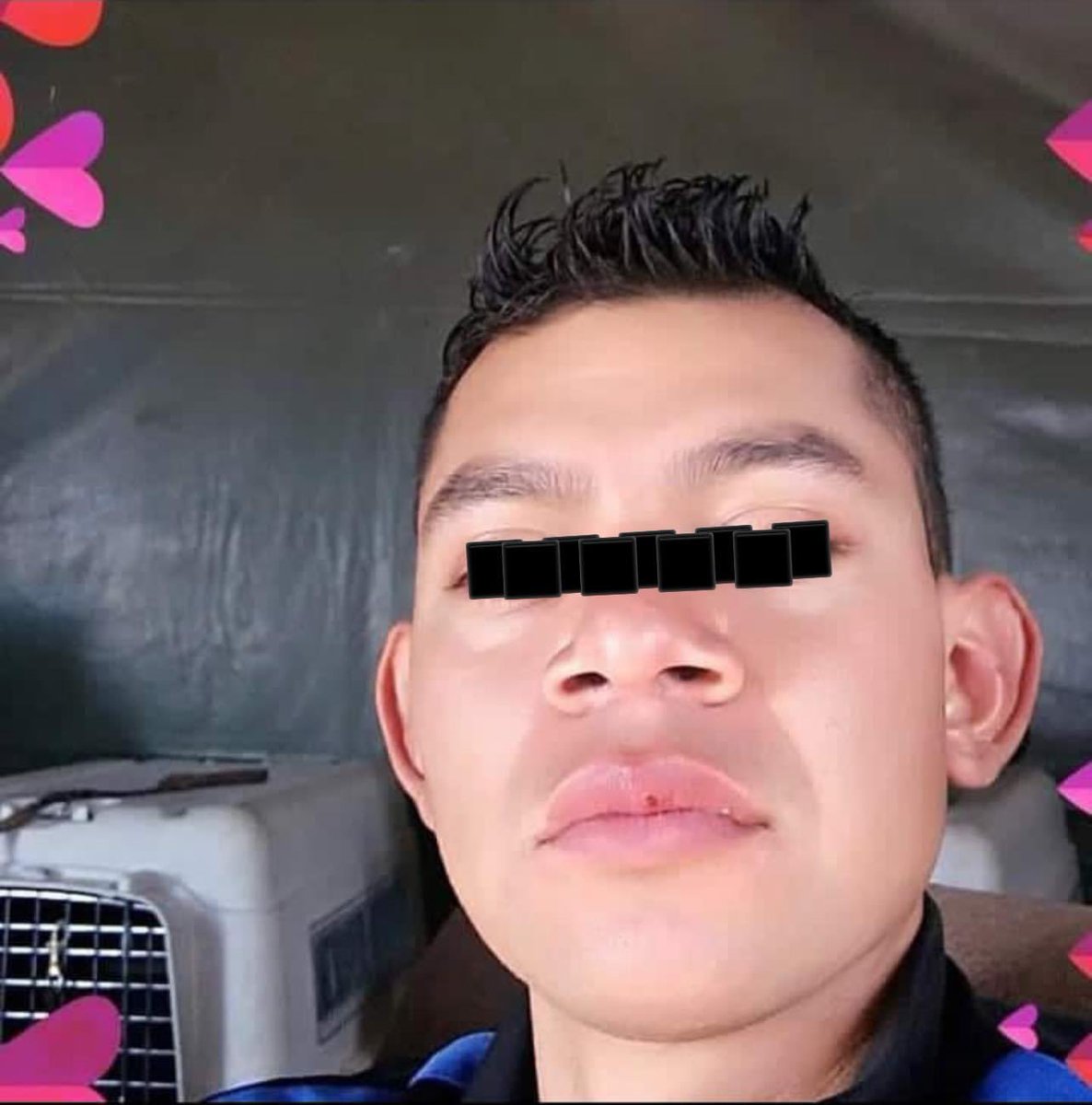 Peludos Desamparados on Twitter: ".@CynthiaLooc"