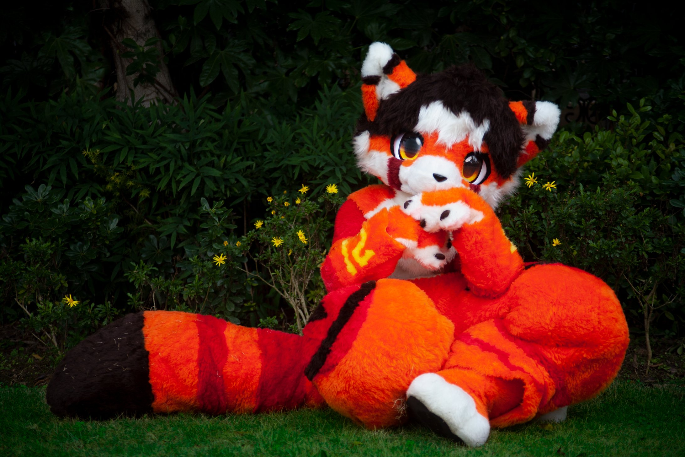 钧丝儿 (@jun_sier) / Twitter