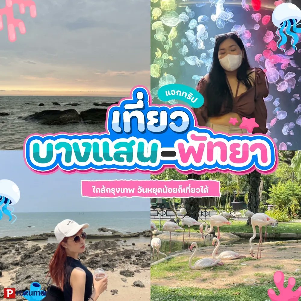 Proxumer - โปรโมชั่น on Twitter: "อยากเที่ยวทะเลแบบใกล้ๆ กรุง แชร์โพสต์นี้ด่วน 🤩 วันนี้เราจะพา ...