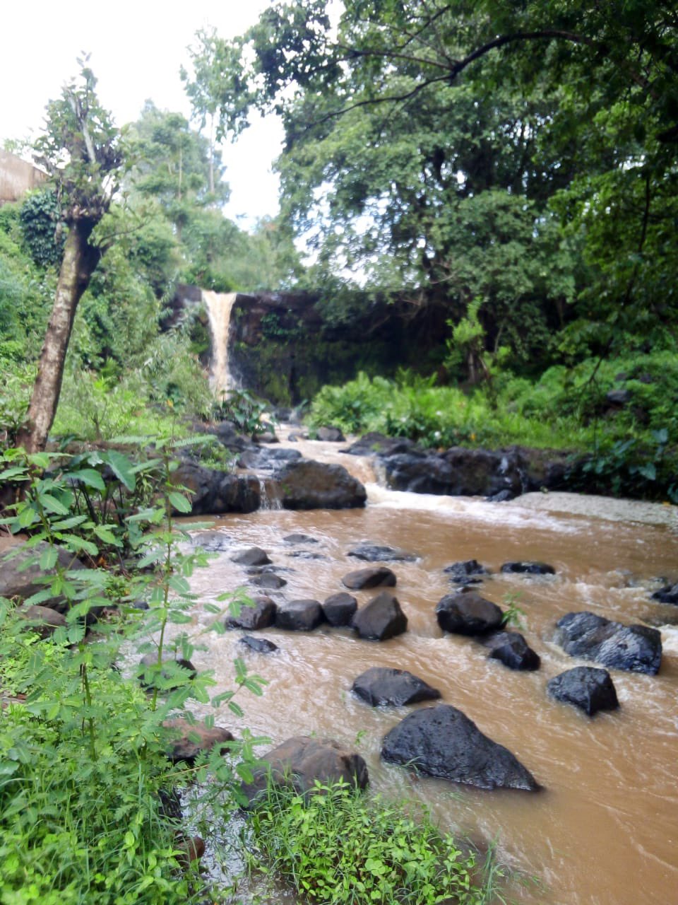 Gridless (@GridlessCompute) / Twitter