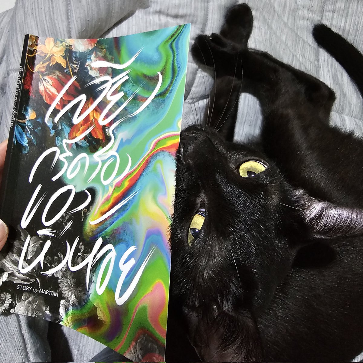 ปิยะรักษ์ 🍂🎃 on Twitter: "RT @ndcodeine: #เสียงกรีดร้องของหิ่งห้อย กรีดร้องตามชื่อเล่มจริง สิ้น ...