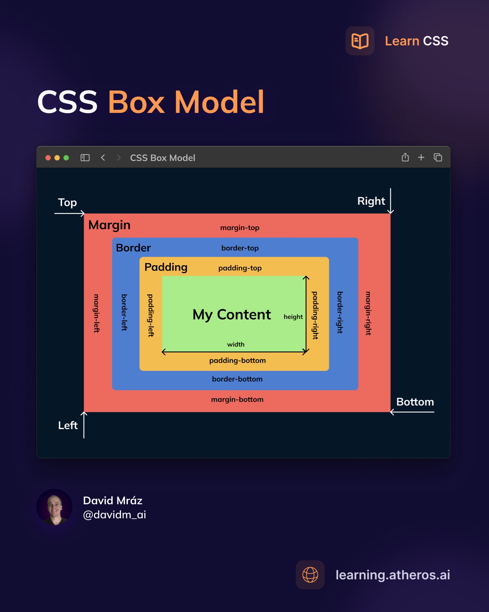 Css Box Model Applying CSS: Box Model