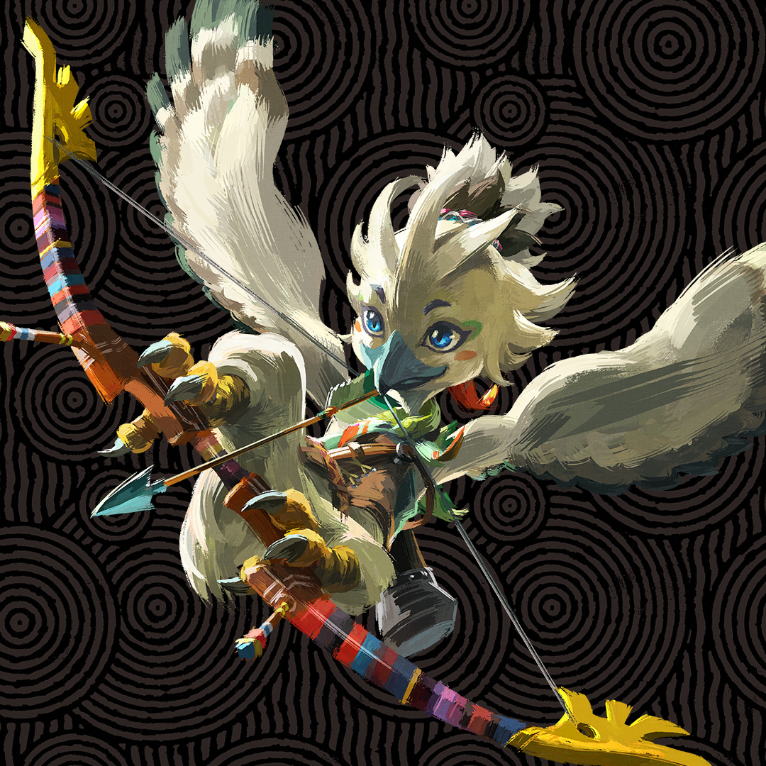 SZG on Twitter: "RT @NintendoUK: This is Tulin, the young warrior who fought alongside Link in ...