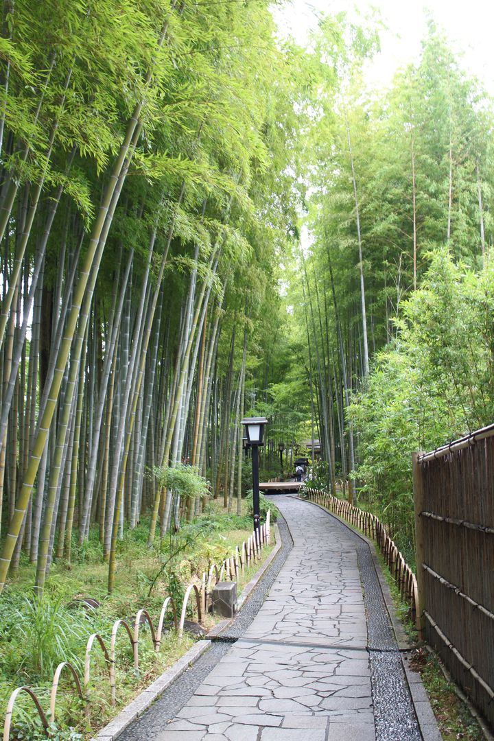 RETRIP＜公式＞ on Twitter: "ひとり旅×温泉街。『電車かバスで行ける』週末行きたい温泉街8選💖 https://rtrp.jp/articles/118641/…"