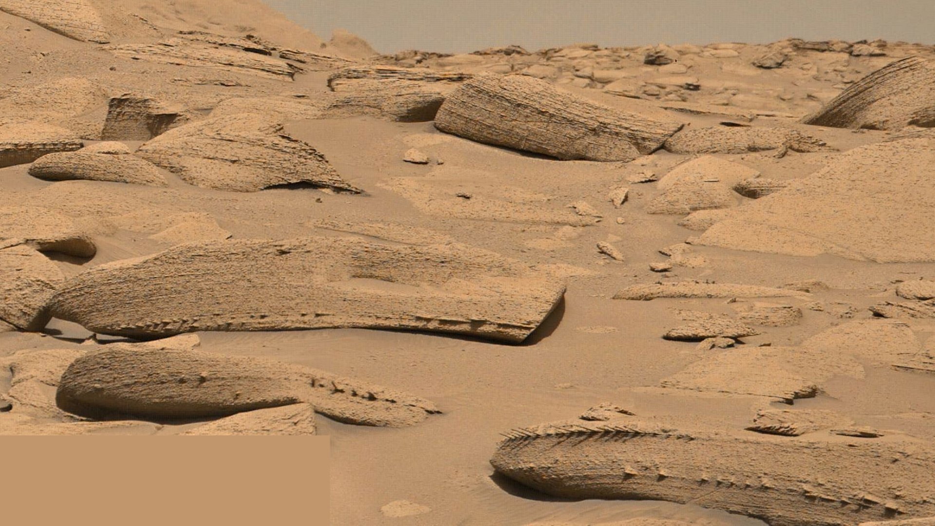 Mars Rover Curiosity Nasa